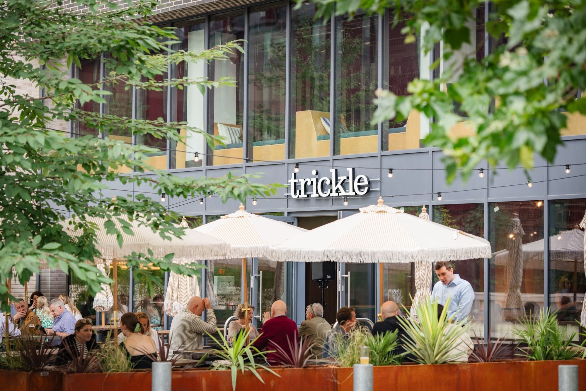 Trickle — A Bart & Taylor Venue