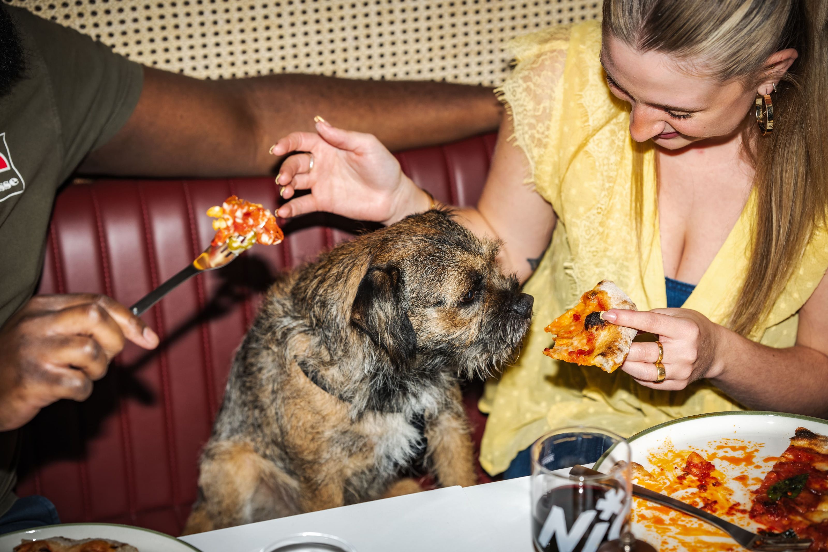 Trickle — A Bart & Taylor Venue