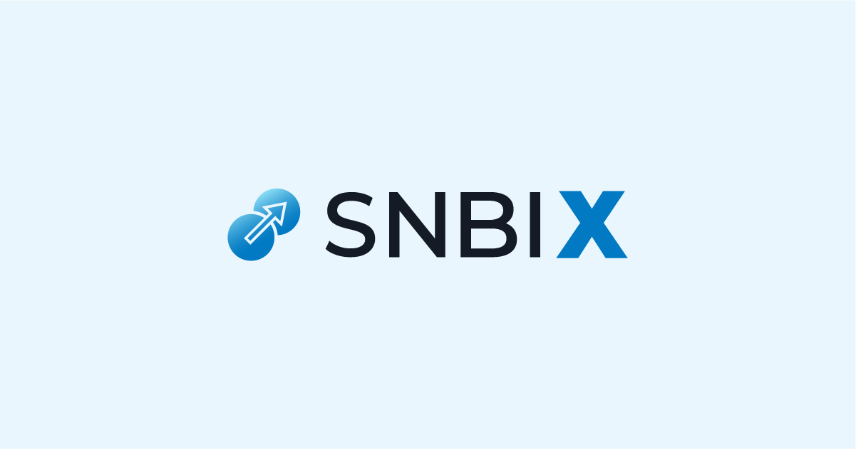 NBI to SNBI Data Transition Tool for Transportation Agencies | SNBIX™