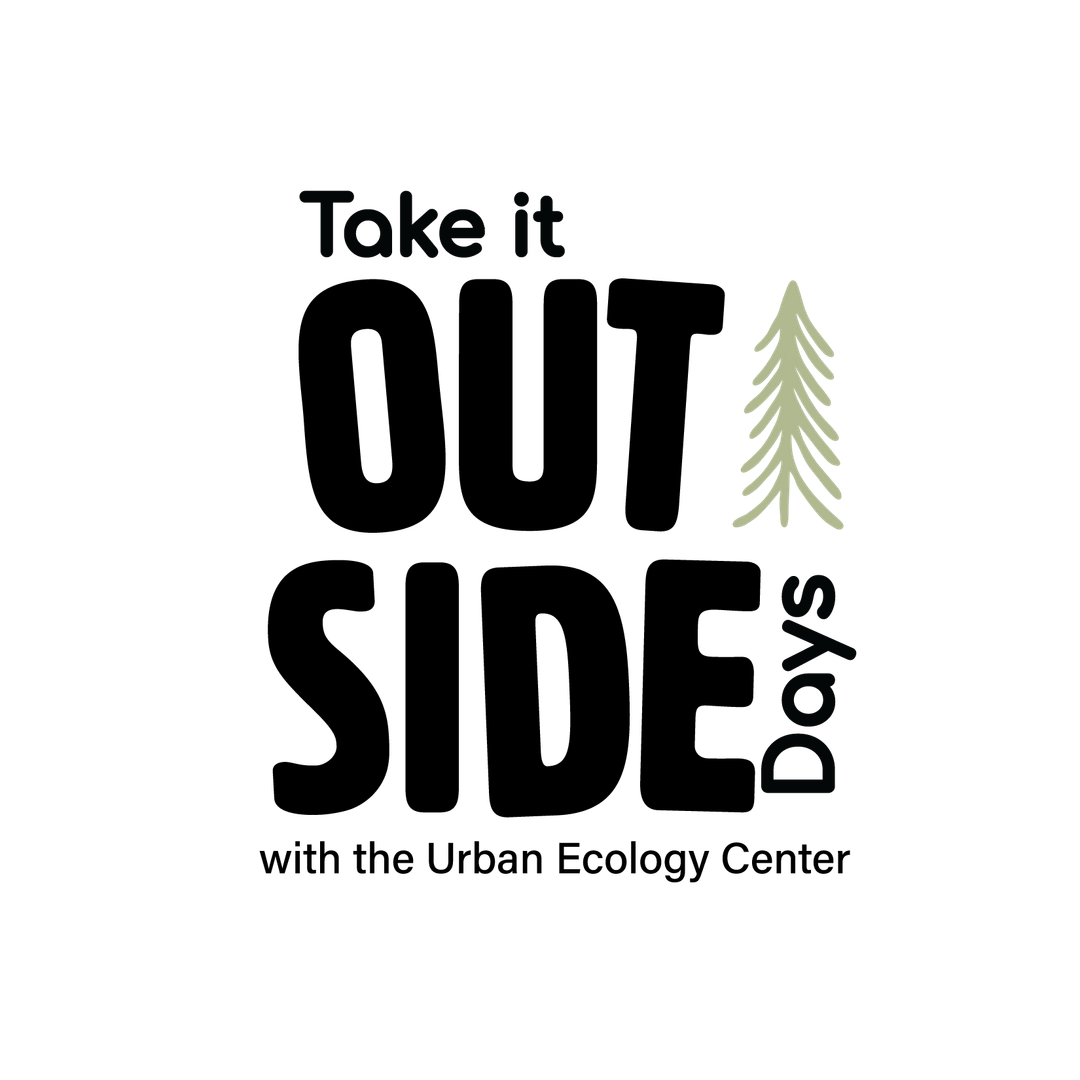 Take it Outside Days