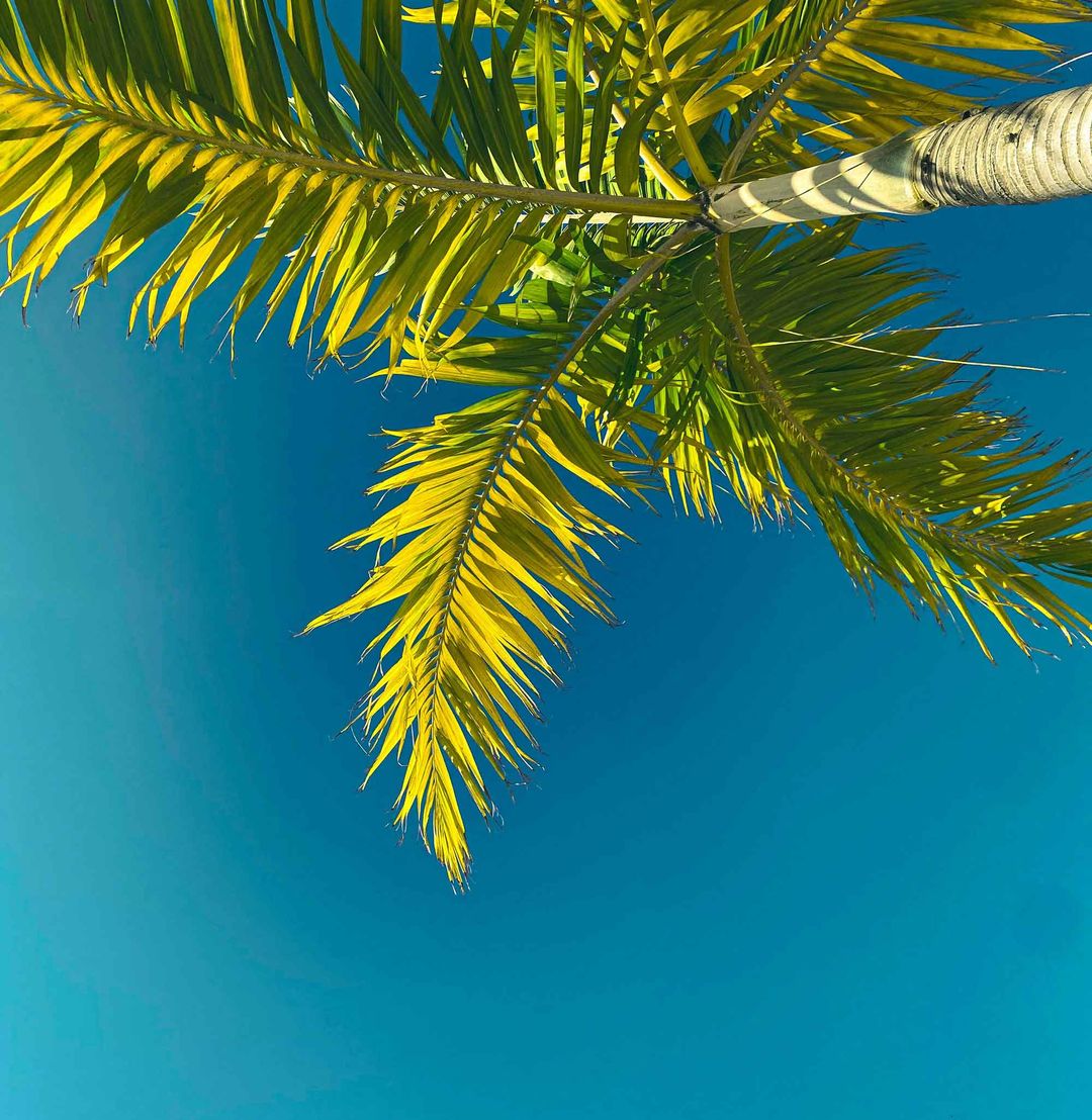 Hotel Rooms In Naples, Florida | Perry Hotel | Suites In Naples, FL