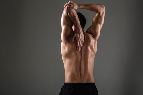 How Does Alcohol Affect Muscles? The Link Between Alcohol and Muscle ...