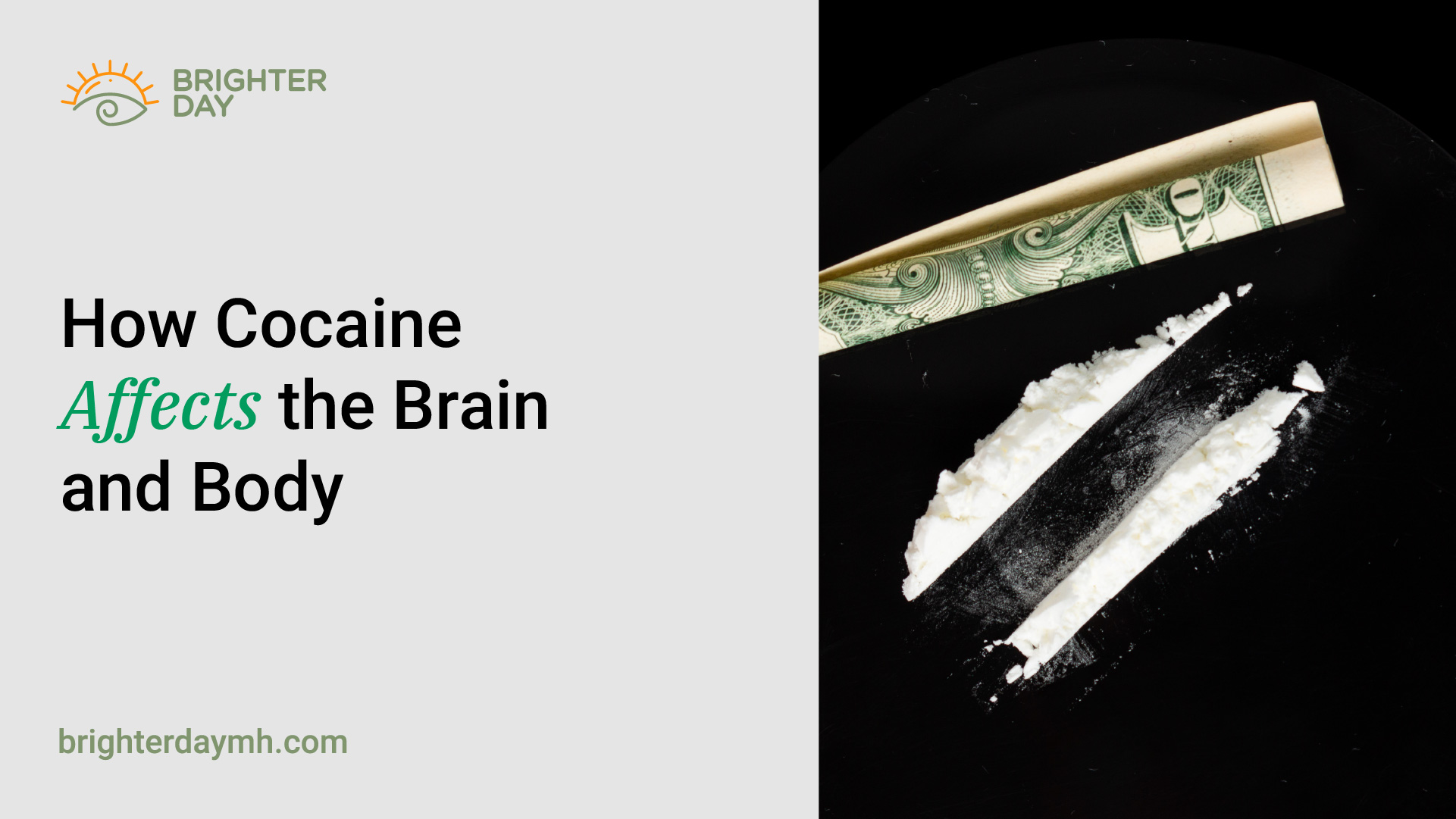 What Is Cocaine?