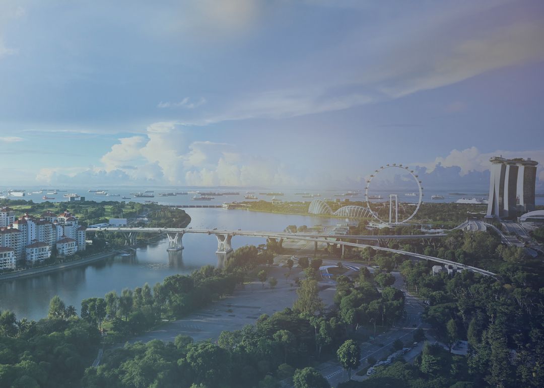 Atlantic Partners Asia - About us