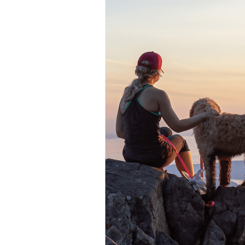 Starlight Development