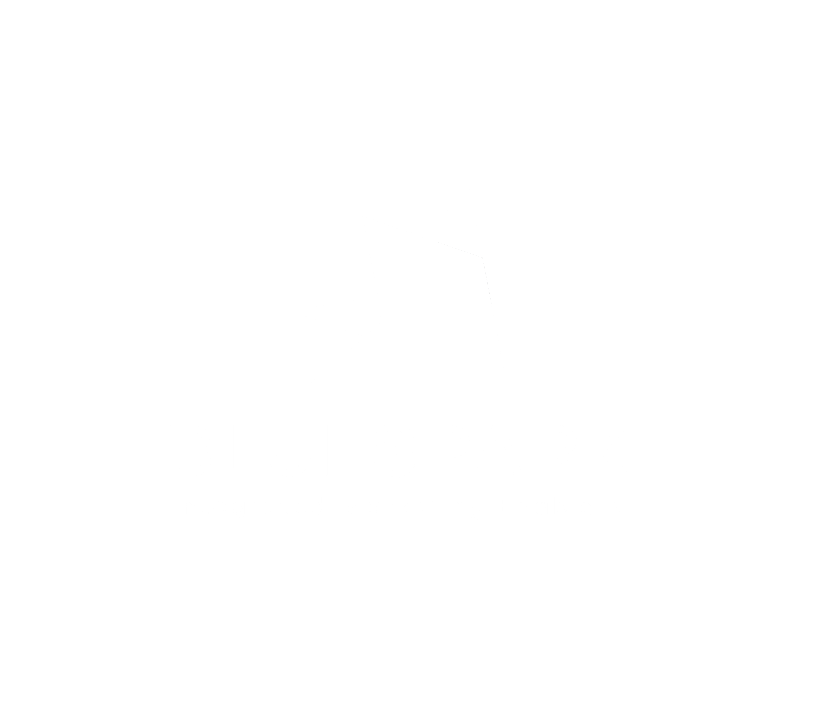 Blue Spark Solutions