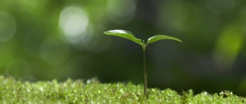 Kertih Terminals - DIALOG Group Berhad