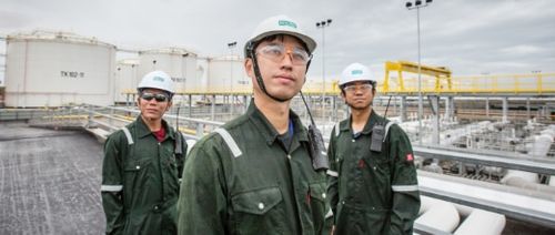 DIALOG Terminals Langsat - DIALOG Group Berhad