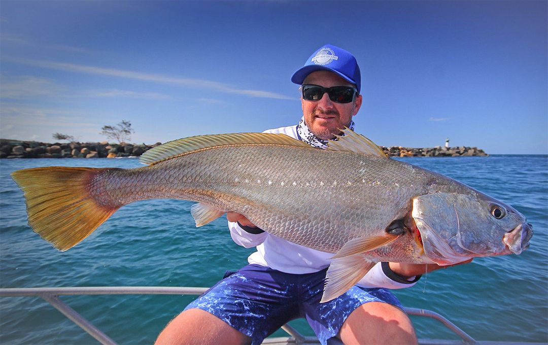 Mulloway - Species Guide