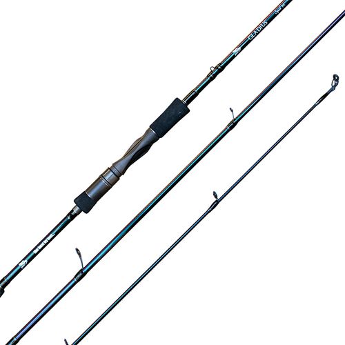 Whiting - Species Guide