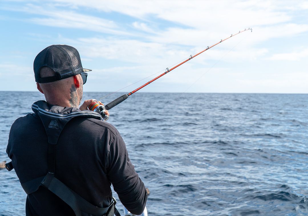 Snapper - Species Guide