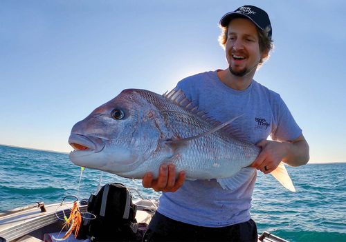 Snapper - Species Guide