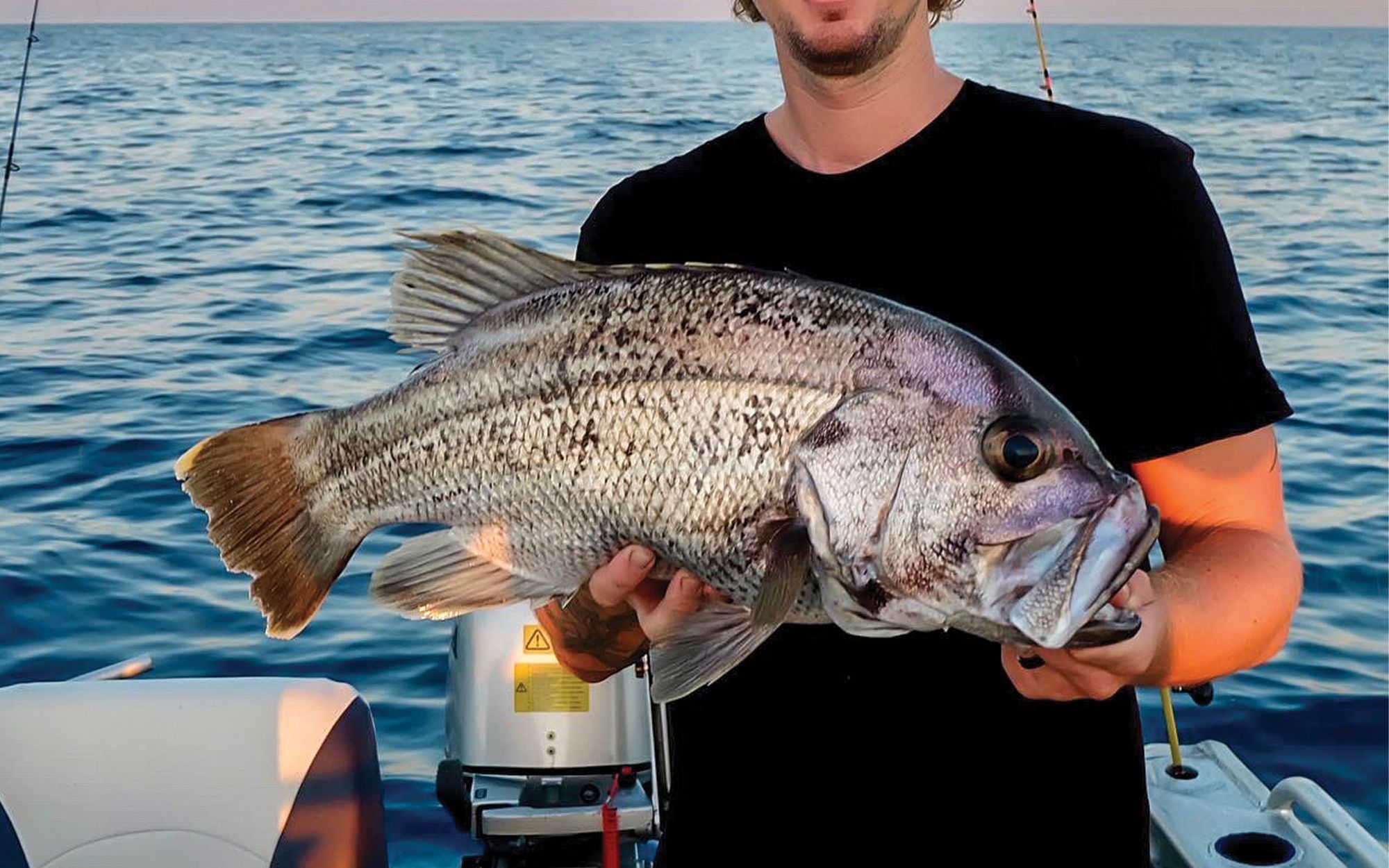 Dhufish - Species Guide