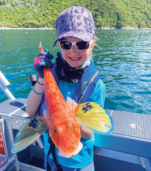 Gurnard - Species Guide