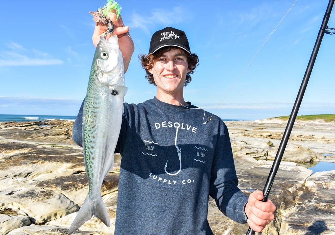 Kahawai - Species Guide