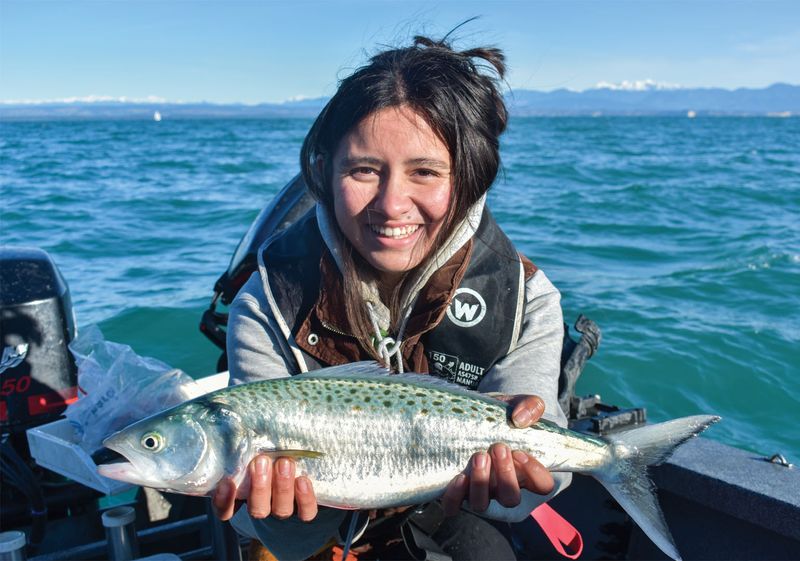 Kahawai - Species Guide