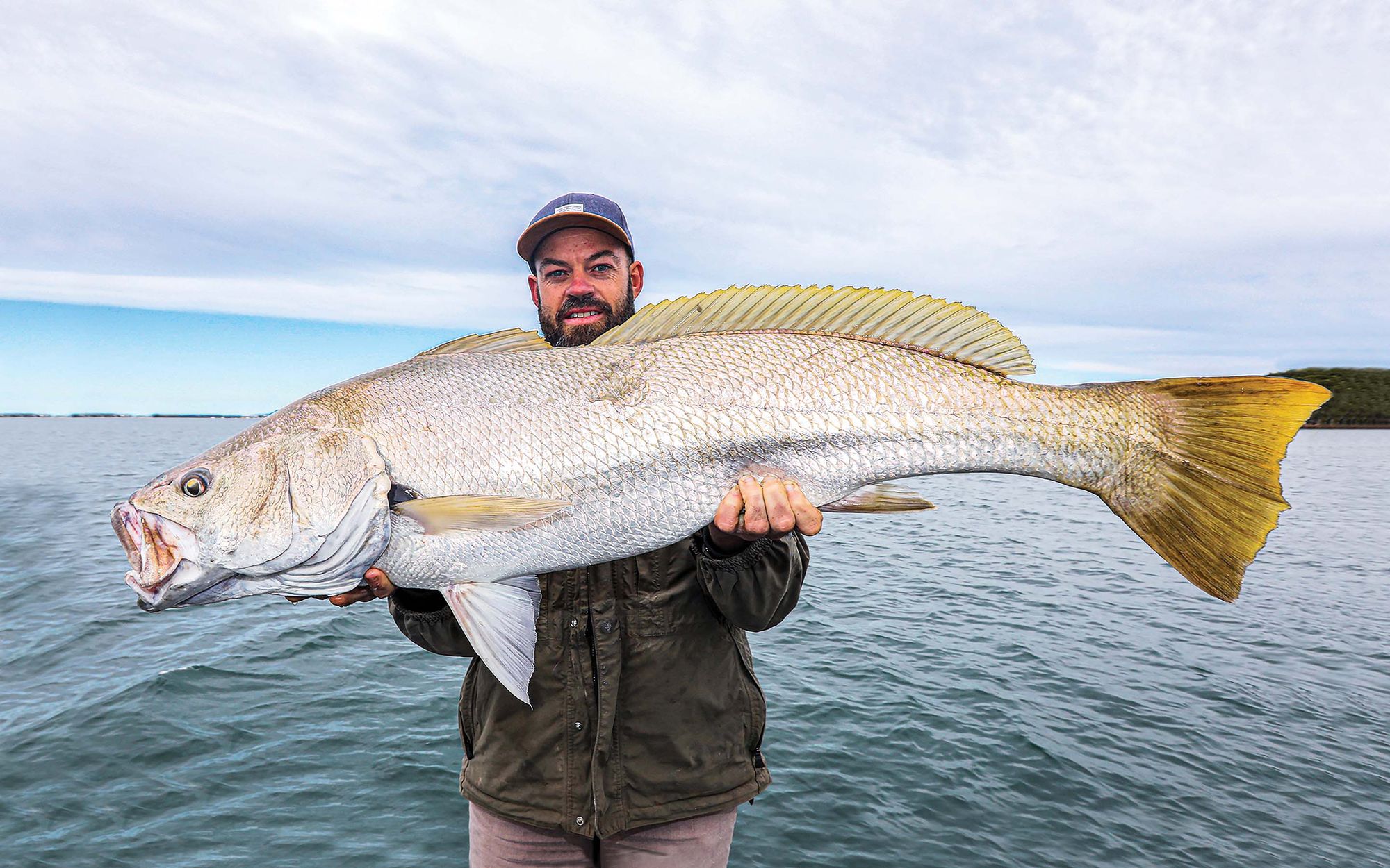 Mulloway - Species Guide