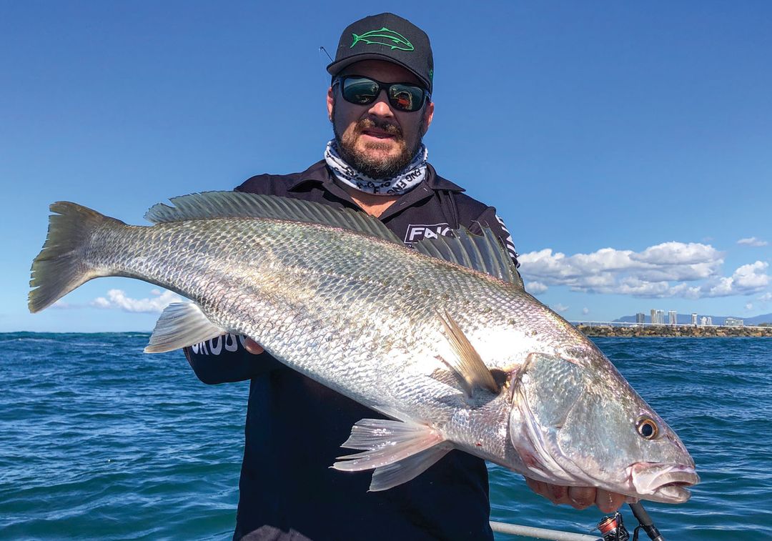 Mulloway - Species Guide