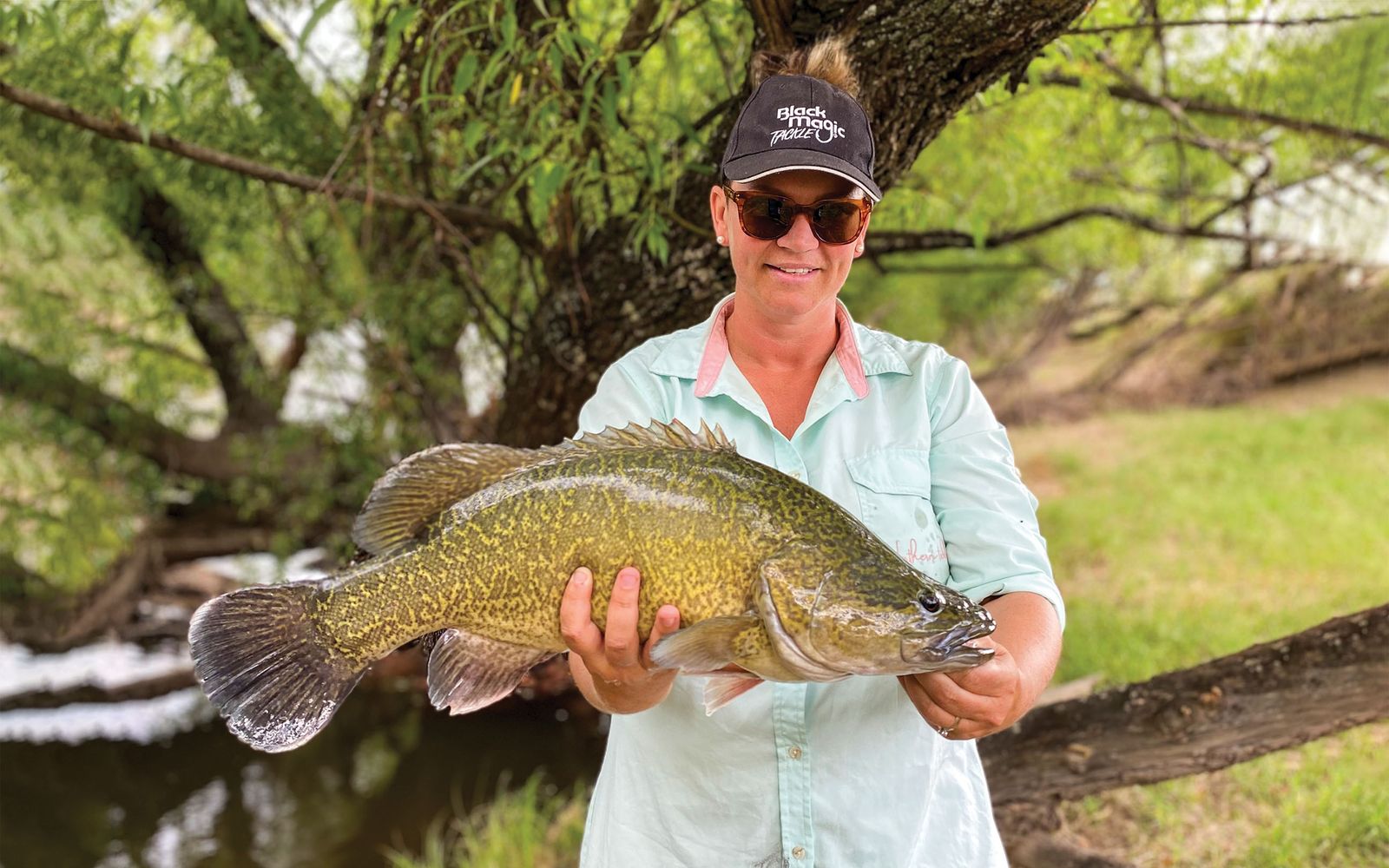 Murray Cod - Species Guide