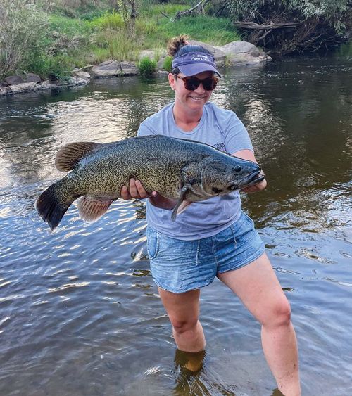 Murray Cod - Species Guide