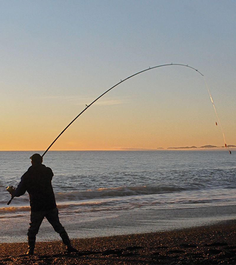 Choosing the right hook - Fishing Guide