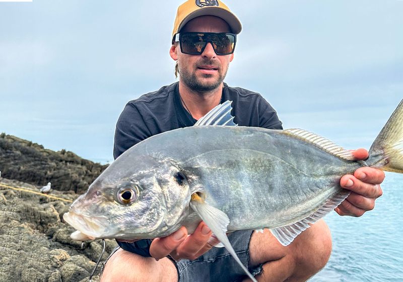 Trevally - Species Guide