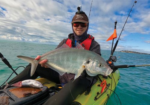 Trevally - Species Guide