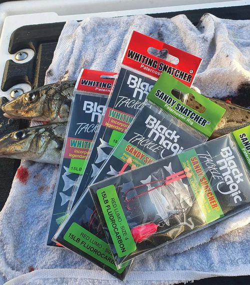 Whiting - Species Guide