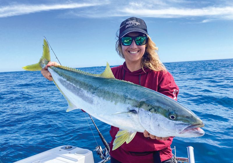 Live baiting for kingfish - Fishing Guide