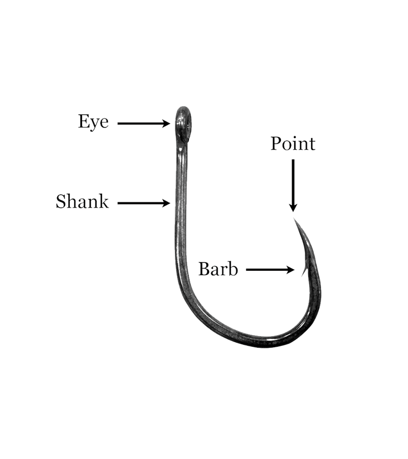 Choosing the right hook - Fishing Guide