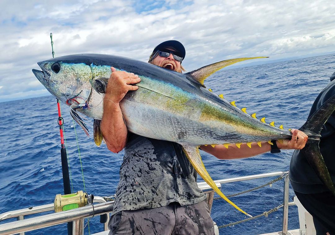Yellowfin Tuna - Species Guide