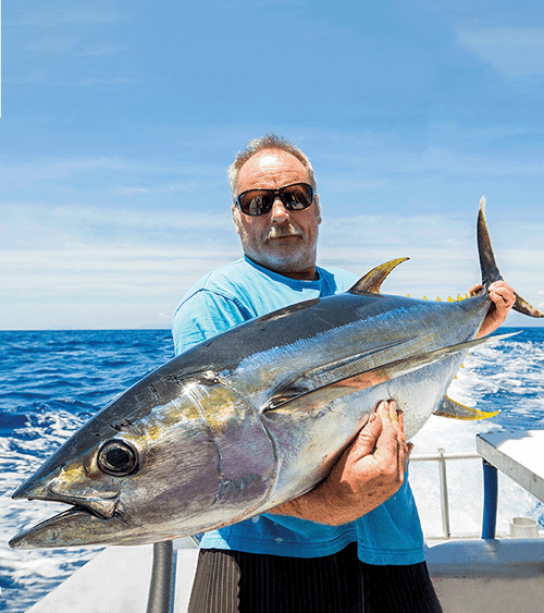 Yellowfin Tuna - Species Guide