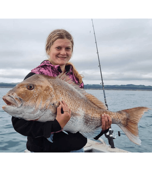 Snapper - Species Guide