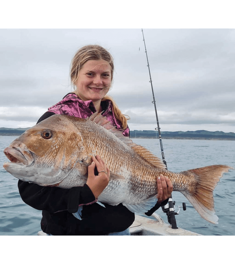Snapper - Species Guide