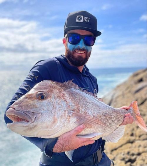 Snapper - Species Guide