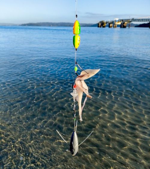 Guide to Surfcasting - Fishing Guide