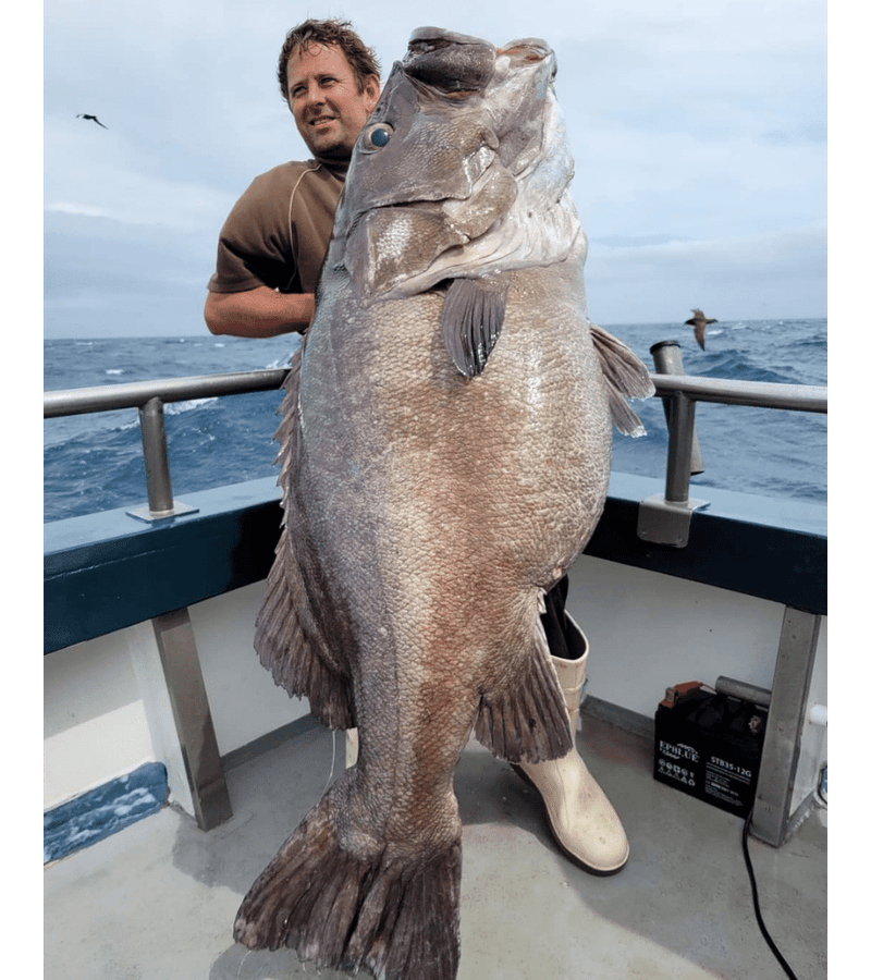 Guide to deep dropping - Fishing Guide