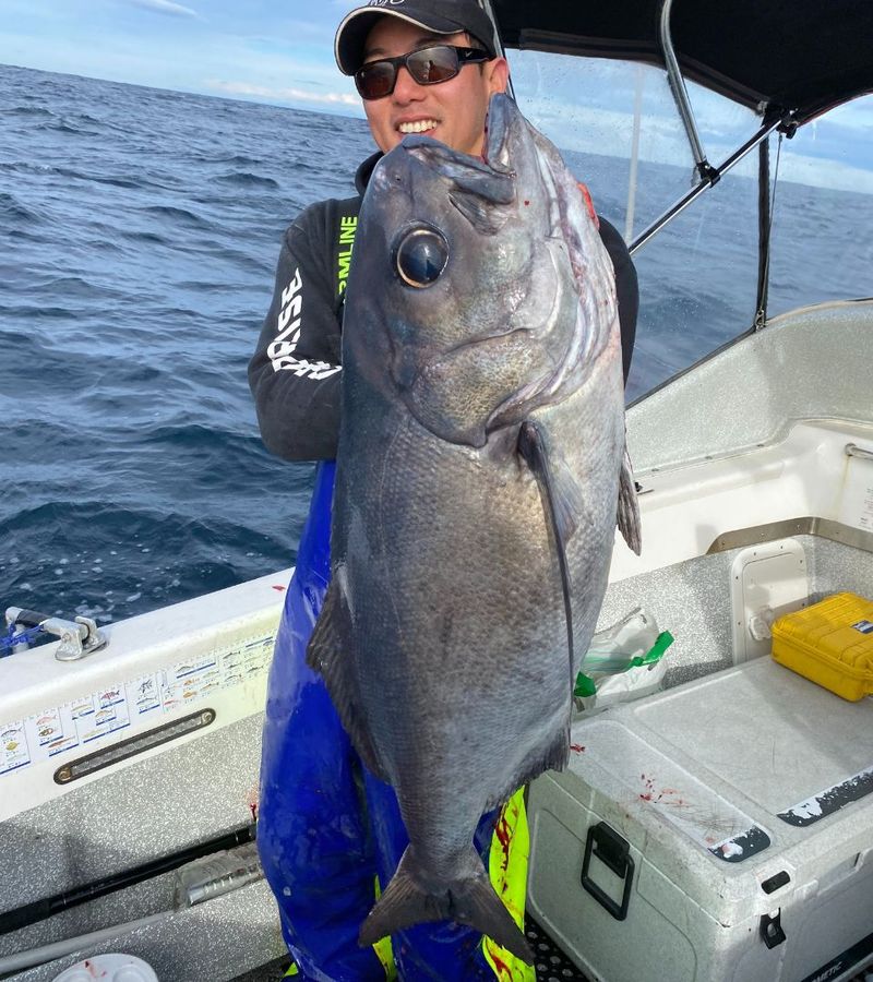 Guide to deep dropping - Fishing Guide