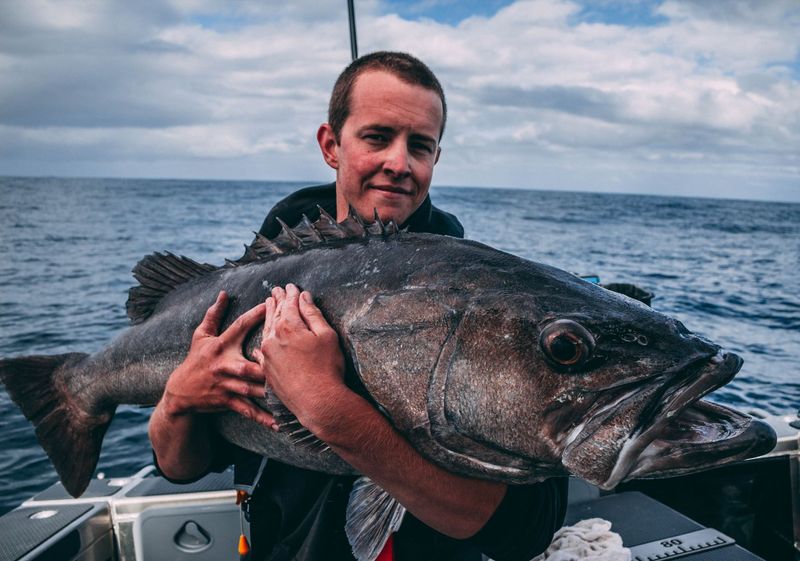 Guide to deep dropping - Fishing Guide