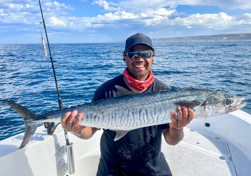 Spanish Mackerel - Species Guide