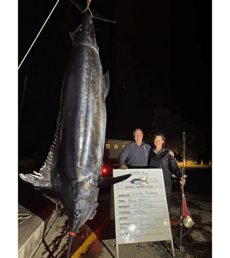 Marlin - Species Guide