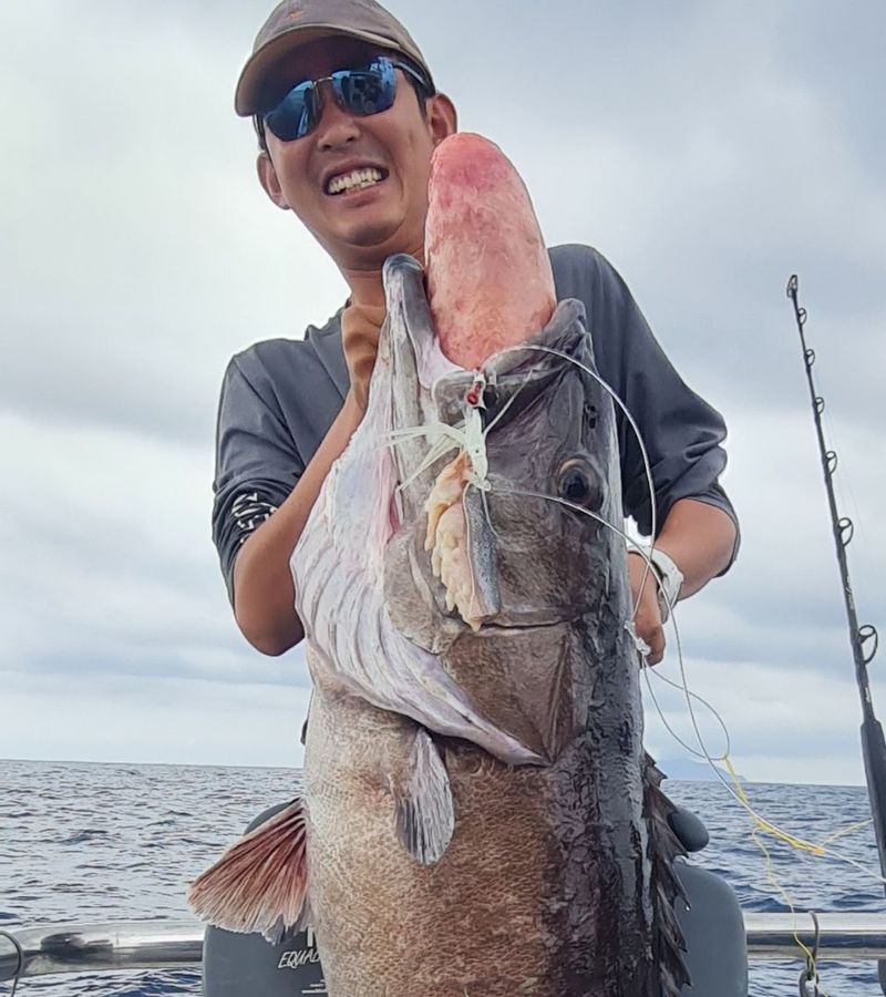 Hāpuku - Species Guide