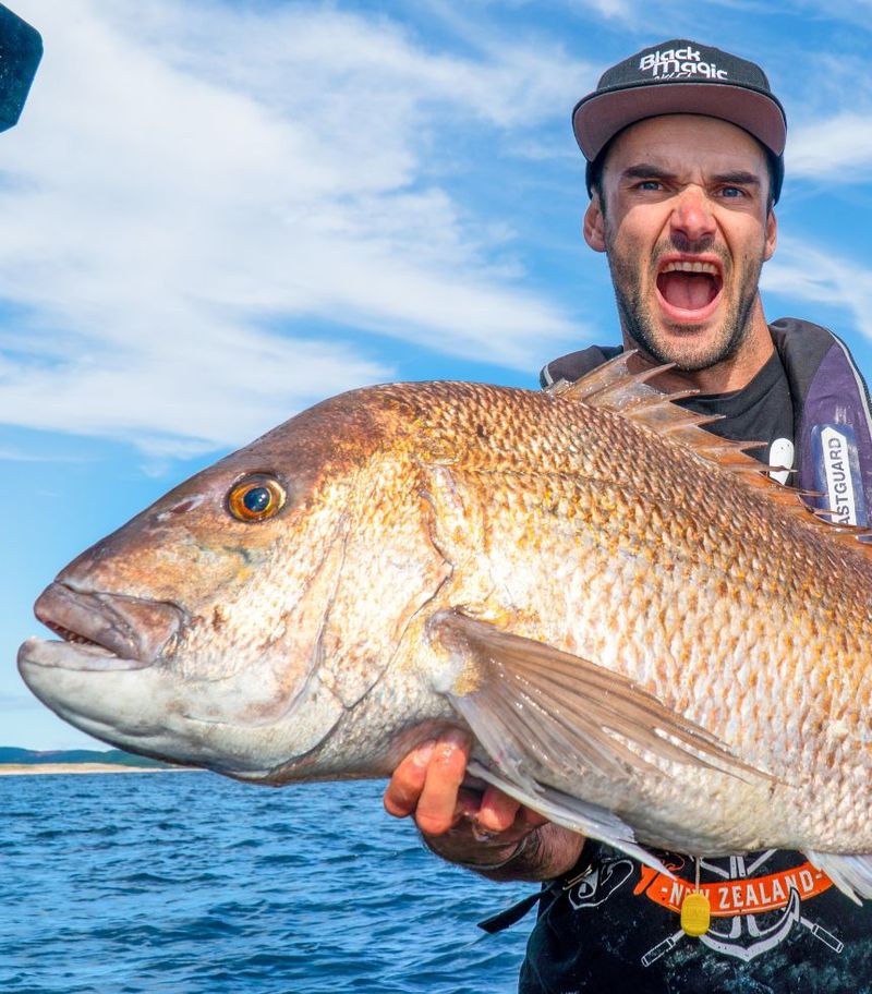 Snapper - Species Guide