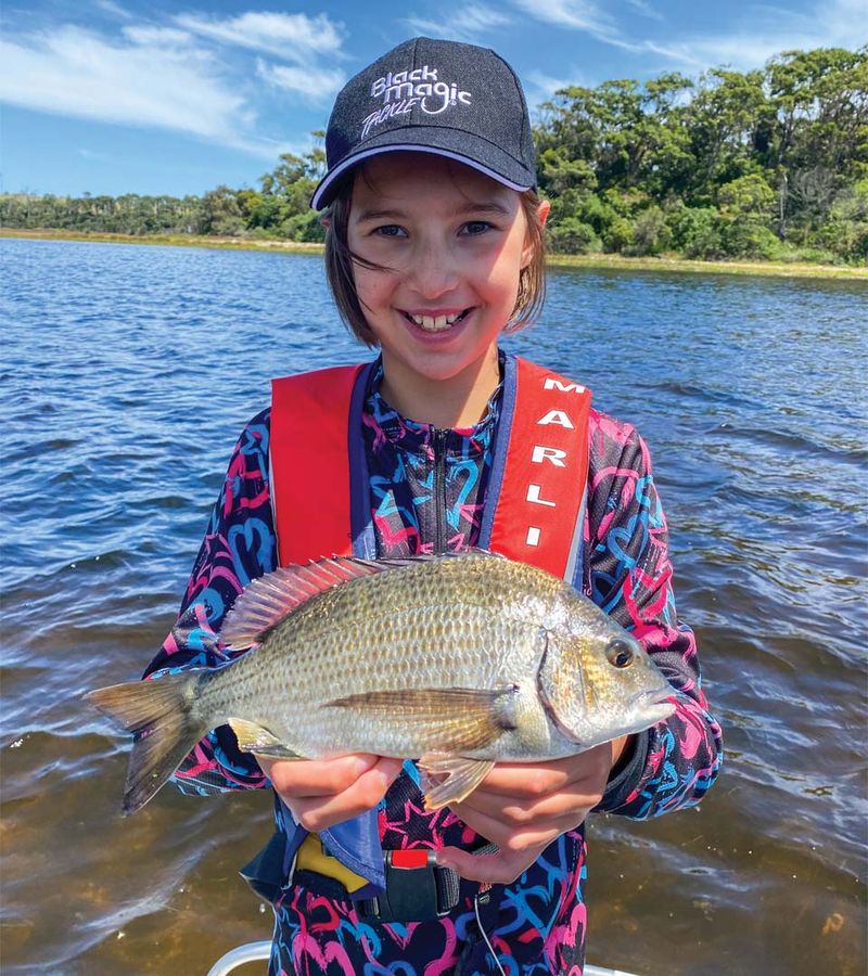 Bream - Species Guide
