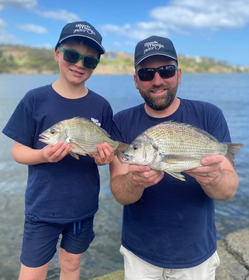 Bream - Species Guide