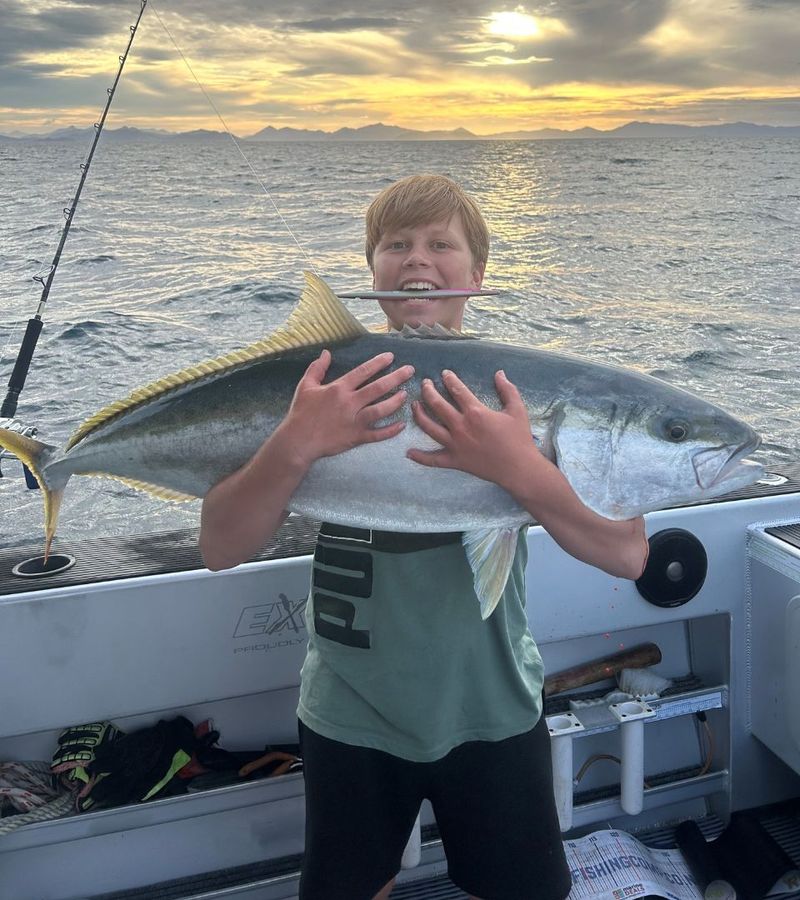 Kingfish - Species Guide