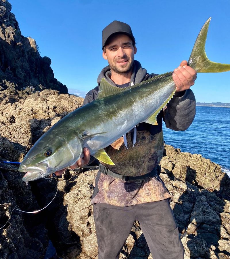 Kingfish - Species Guide