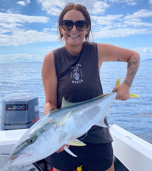 Kingfish - Species Guide