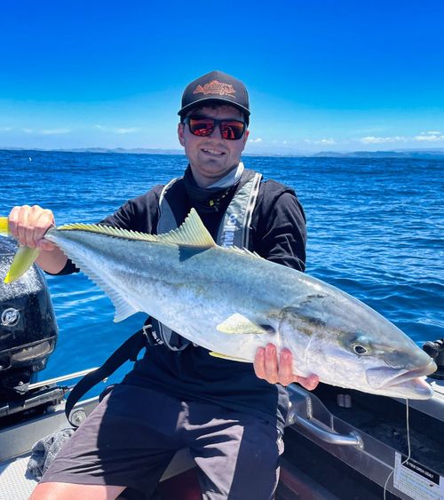 Kingfish - Species Guide