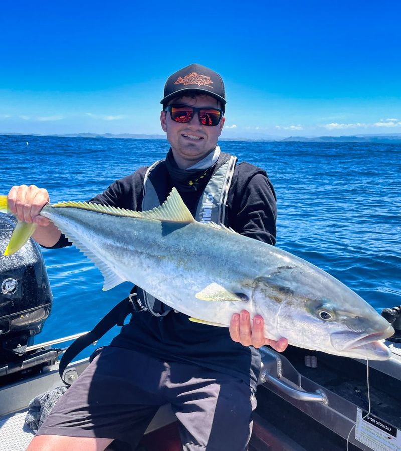 Kingfish - Species Guide